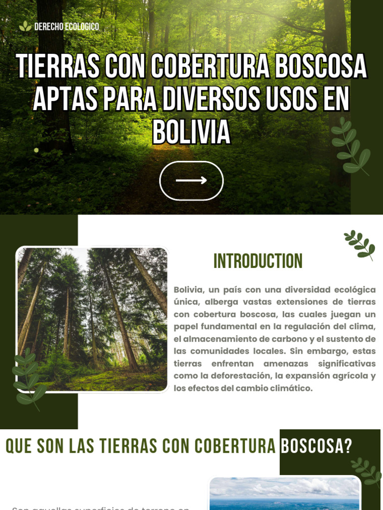 TIERRAS CON COBERTURA BOSCOSA_compressed | PDF | Los bosques ...