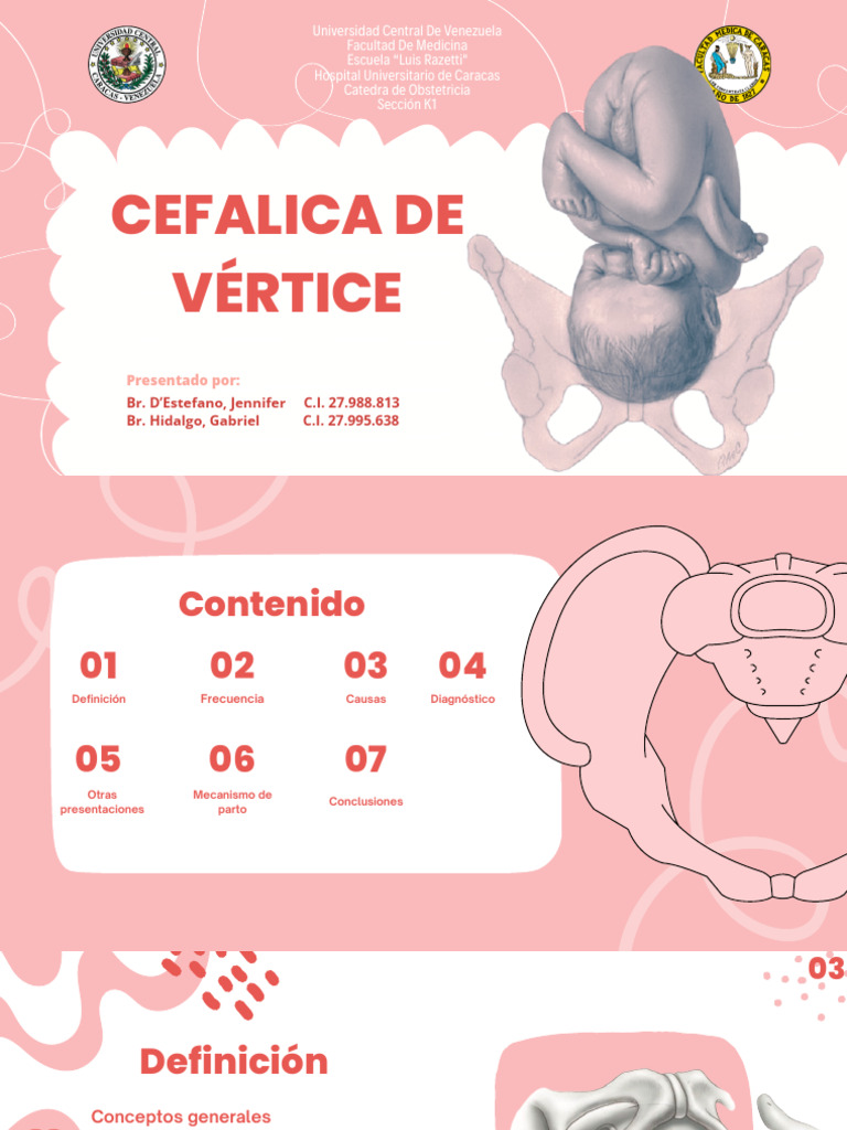 Cefalica de Vértice | PDF | Parto | Pelvis