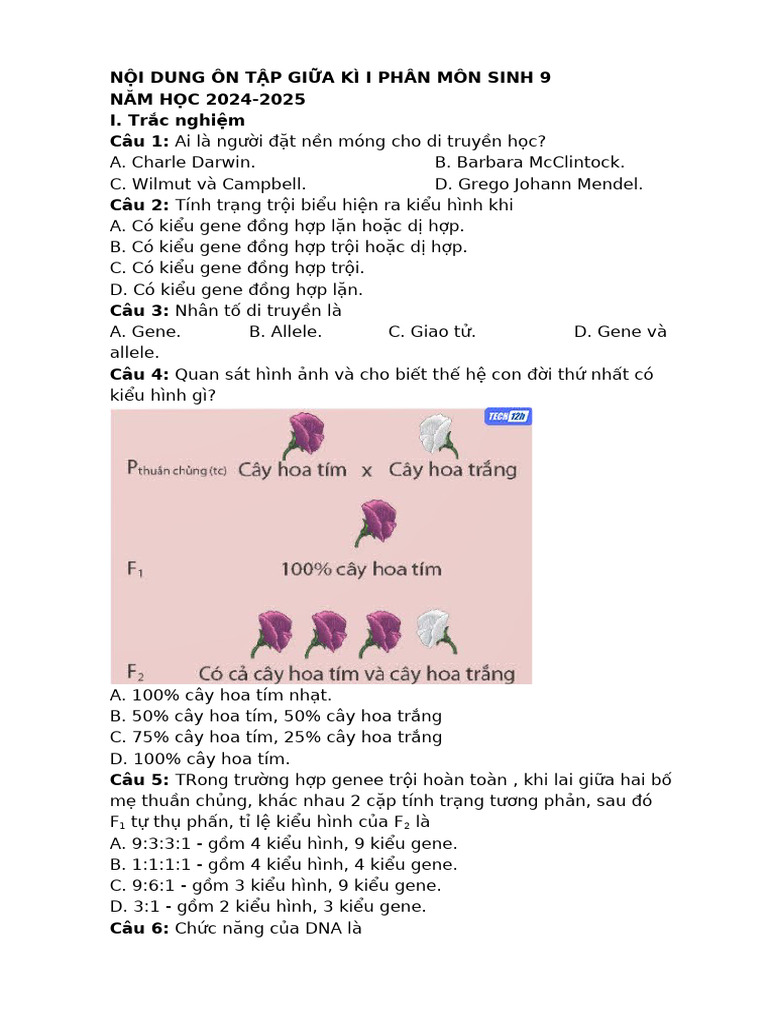 NỘI DUNG ÔN TẬP GIỮA KÌ I PHÂN MÔN SINH 9 - 24-25 | PDF