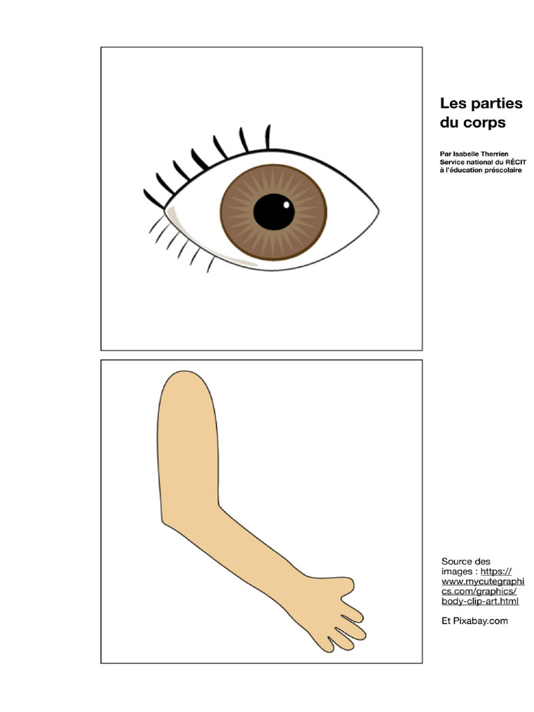 Parties Du Corps | PDF