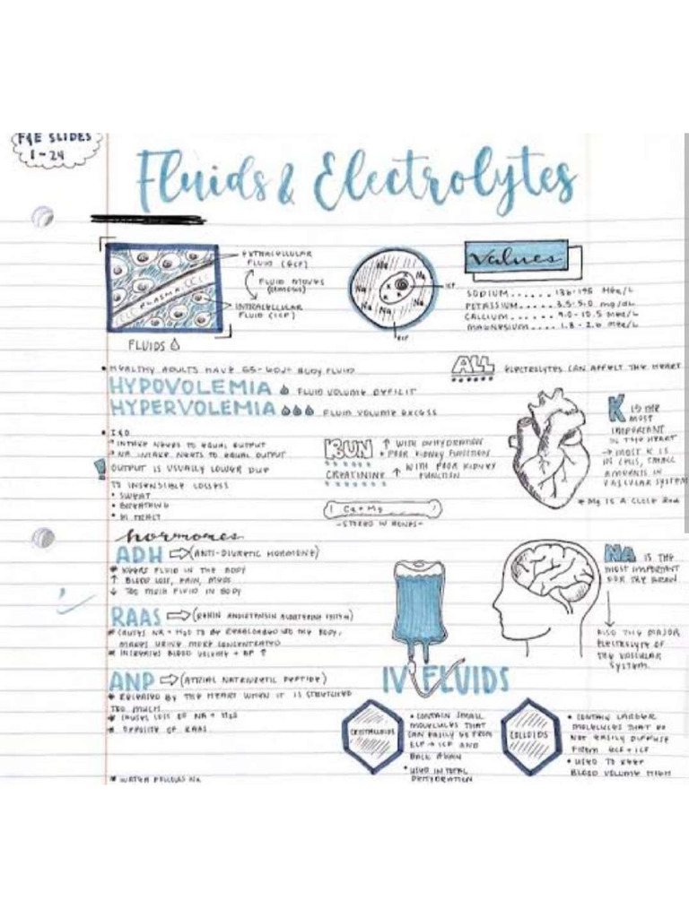 Notes of Nursing | PDF