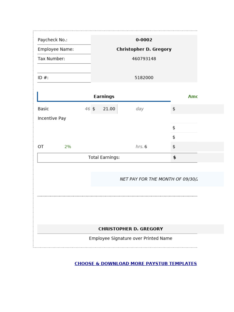 Paystub Template02 | PDF