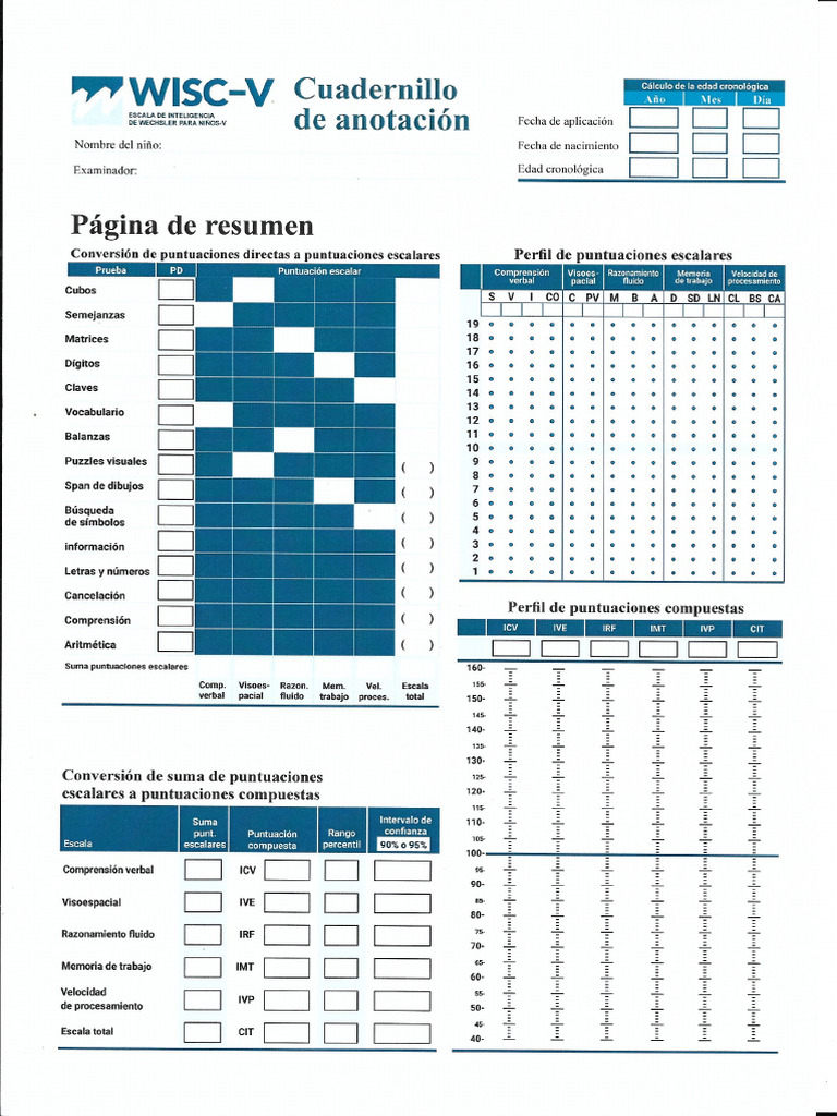 Cuadernillo de Anotación WISC V - Pag de Resumen | PDF