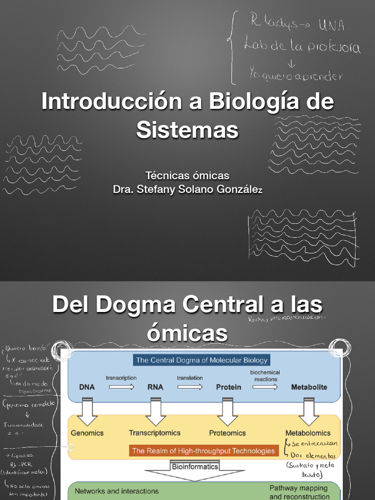 Clase9 241001 144445 | PDF