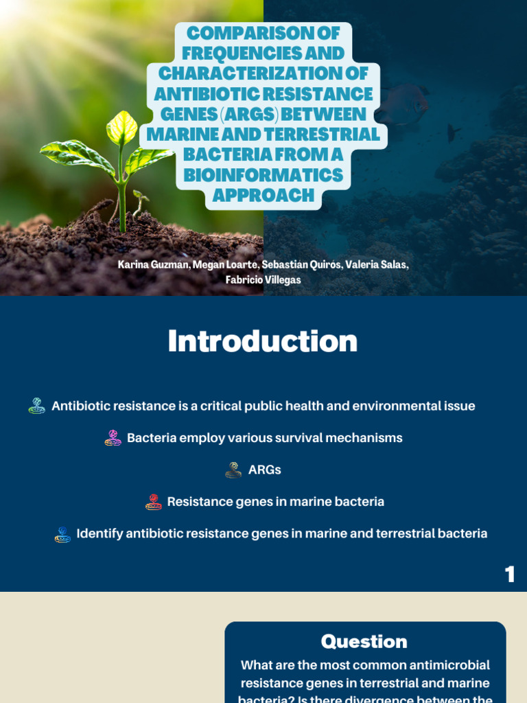 G03 - Proyecto Final | PDF | Antimicrobial Resistance | Bacteria