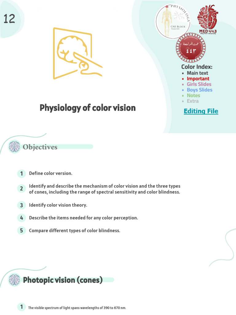 L12-Physiology of Color Vision | PDF | Color | Visual Perception