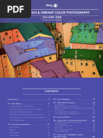 Montana Black Color Chart | PDF | Paint | Color