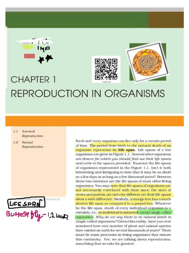 Reproduction Orga | PDF