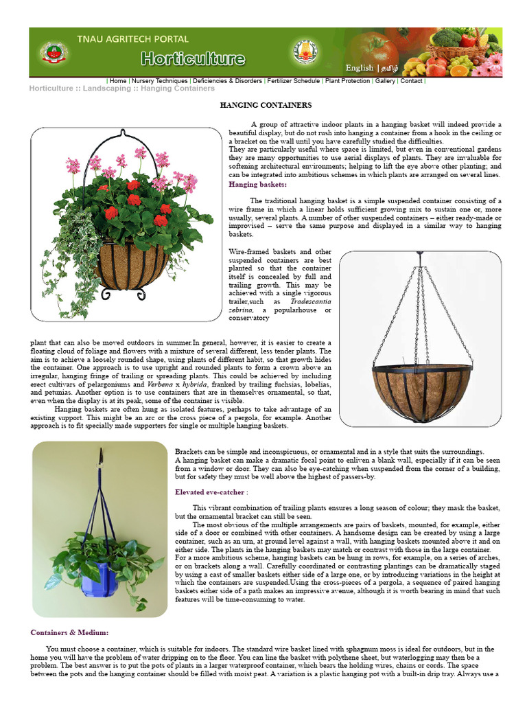 hanging basket | PDF | Houseplant | Botany