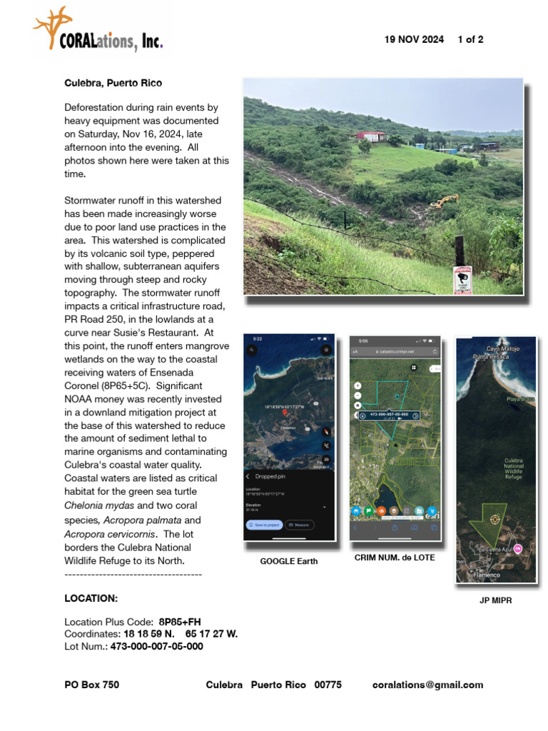 Deforestation San Isidro Report 19 Nov 2024 | PDF | Earth Sciences ...