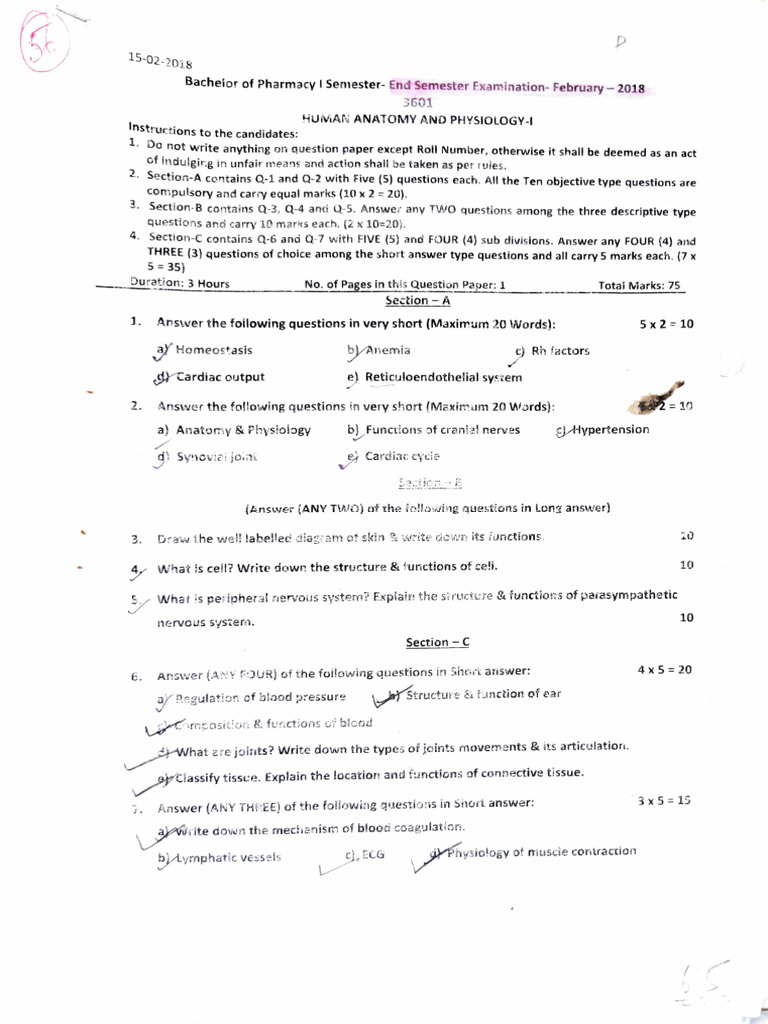 HAP previous year paper | PDF | Heart | Lymph