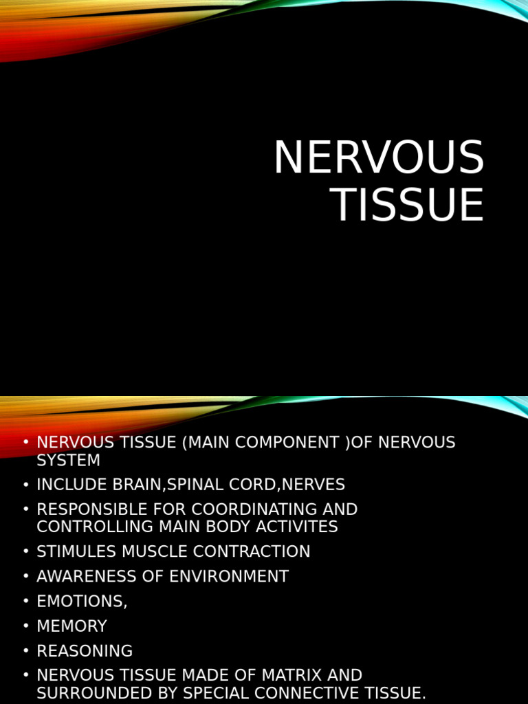 Nervous Tissue PPT Grade 9 (Integrated) | PDF | Neuron | Axon