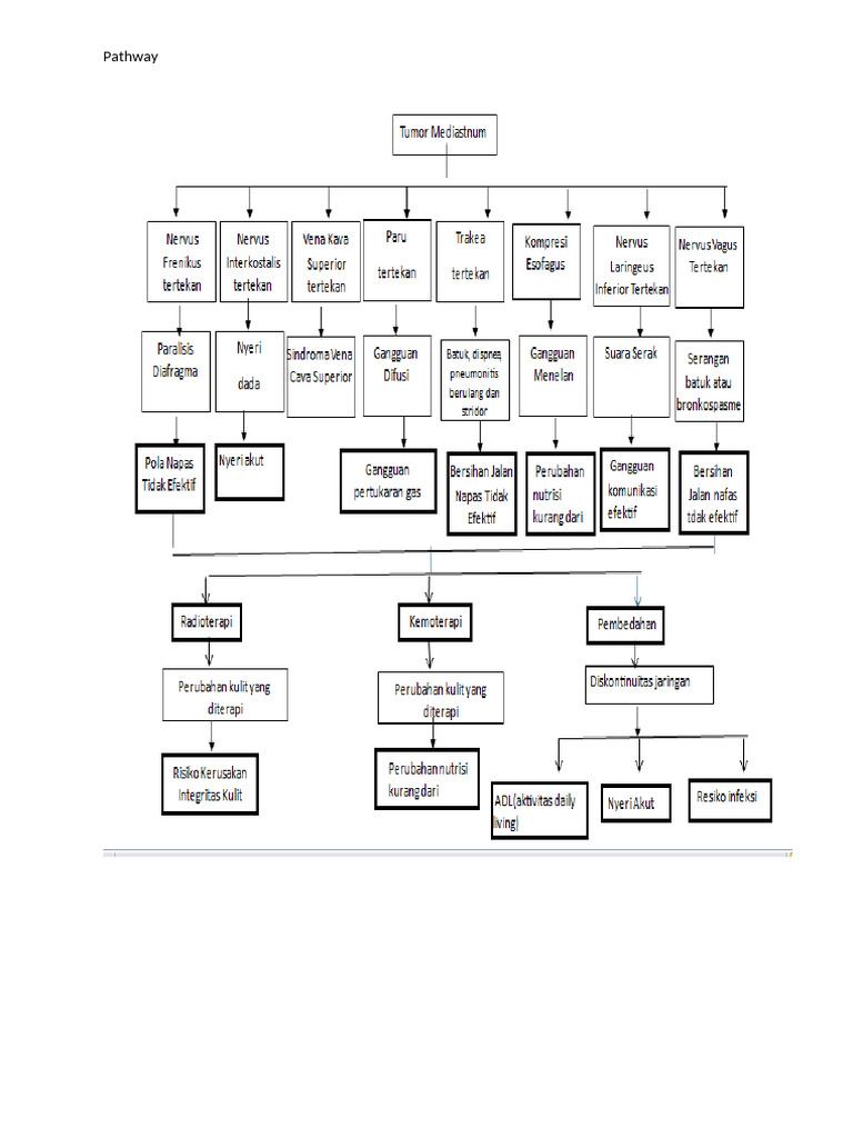 Woc Mediastinum | PDF