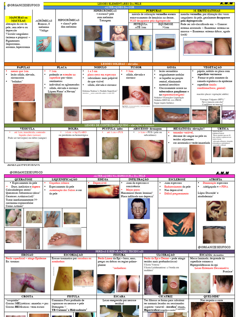 LESÕES ELEMENTARES DA PELE | PDF | Pele | Medicina Clínica