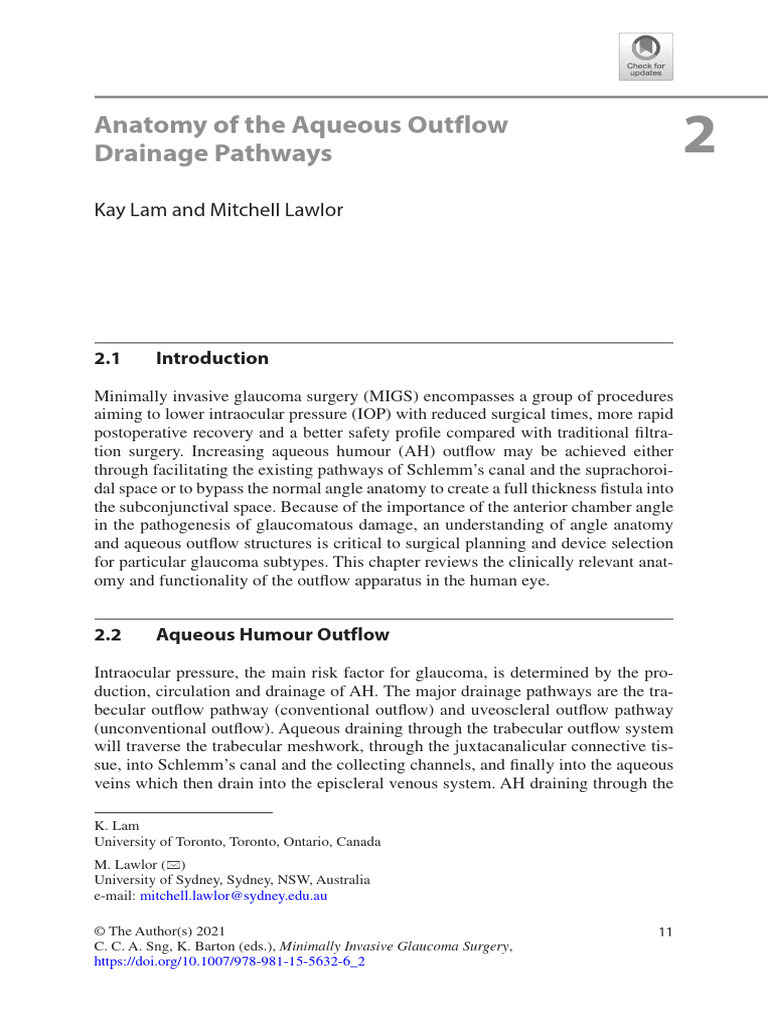 Anatomy of The Aqueous Outflow Drainage Pathways | PDF | Glaucoma | Lymph