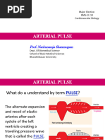 Peripheral Pulse Measurement Sites | PDF