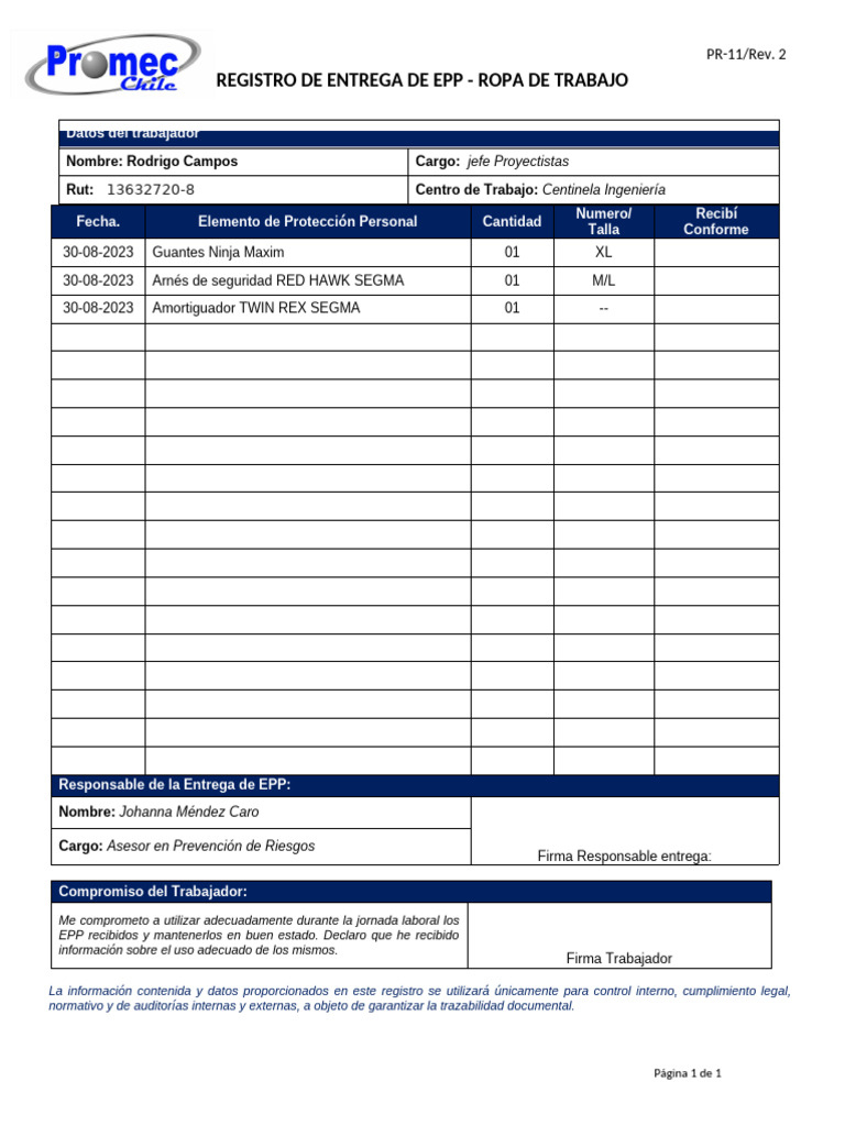 Registro de Entrega de EPP | PDF