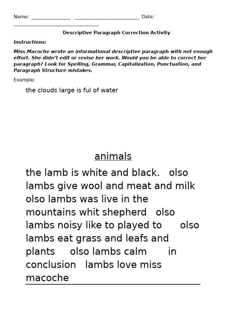 Descriptive Paragraph Correction Guide | PDF