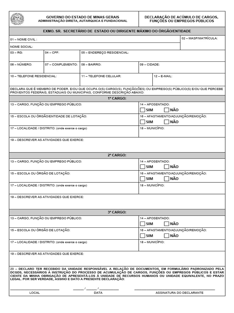 Declaração de Acumulo de Cargo | PDF