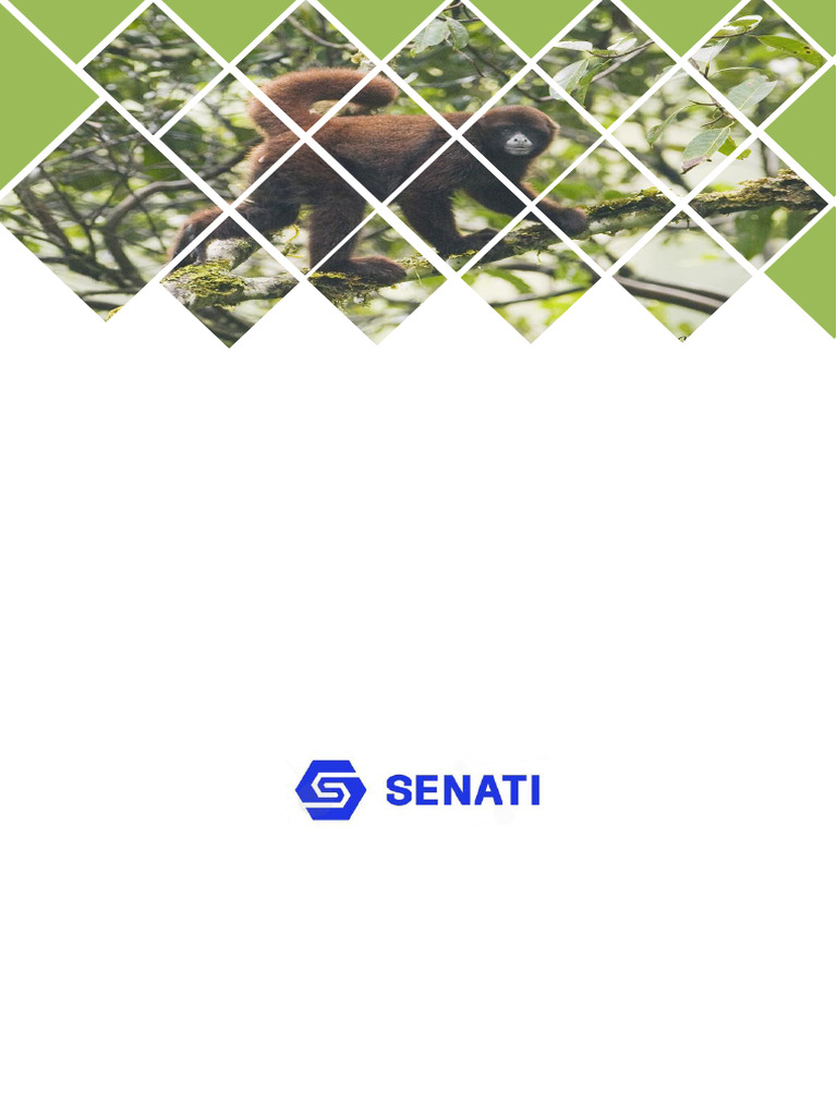 Project Ingles | PDF | Ecology | Environmental Conservation