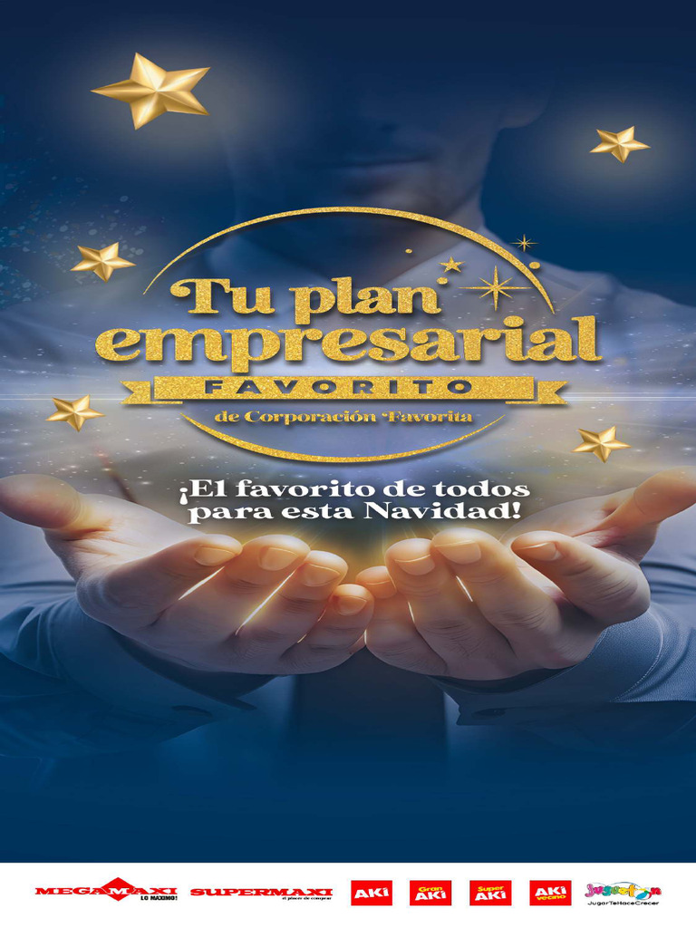 Tu Plan Empresarial Favorito 2024 | PDF