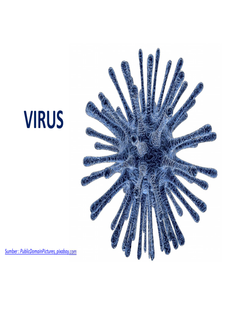PPT VIRUS | PDF
