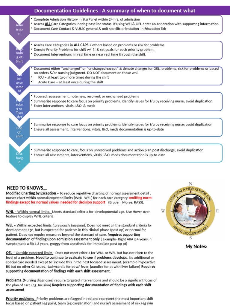 Nursing Documentation Guidelines | PDF | Clinical Medicine | Medical Specialties
