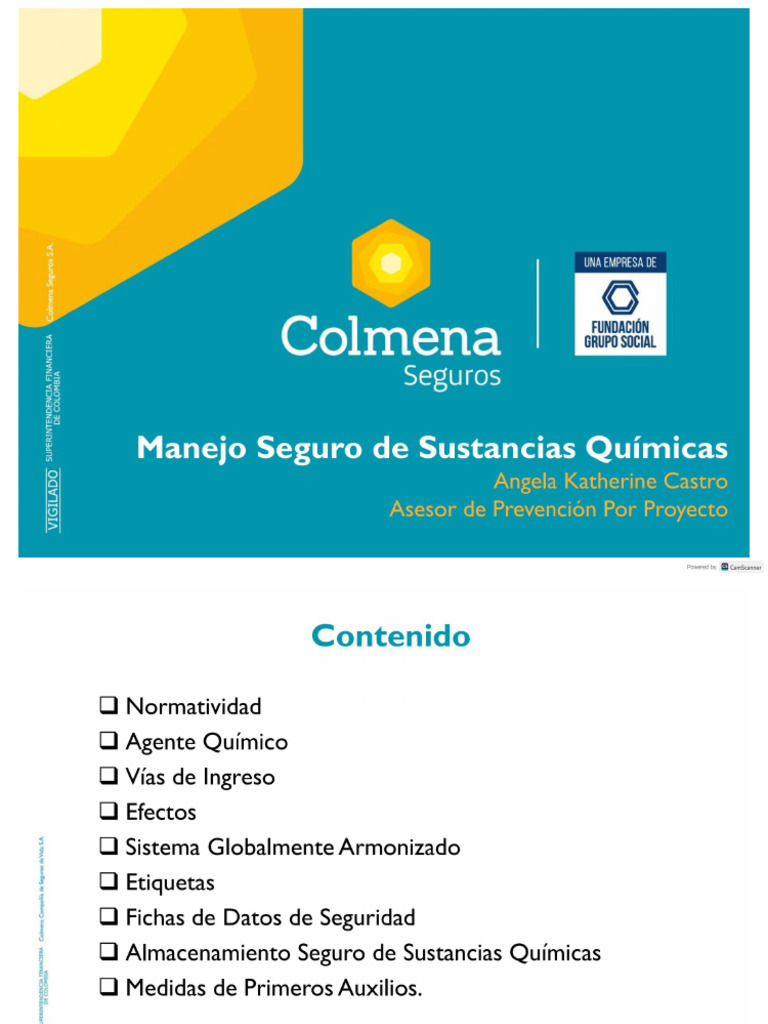 Manejo de Sustancias Quimicas-Colmena | PDF