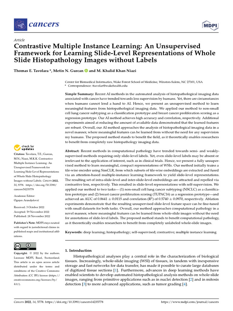 Contrastive Multiple Instance Learning | PDF | Pathology | Metastasis Contrastive Multiple Instance Learning | PDF | Pathology | Metastasis