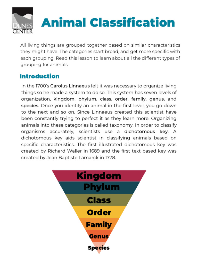 Animal Classification Lesson | PDF | Taxonomy (Biology) | Biological ...