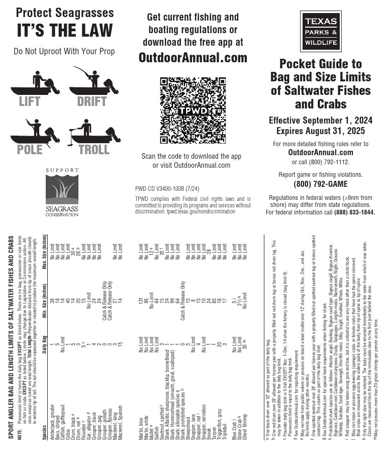 pwd_cd_v3400_100b | PDF | Sharks | Fish And Humans