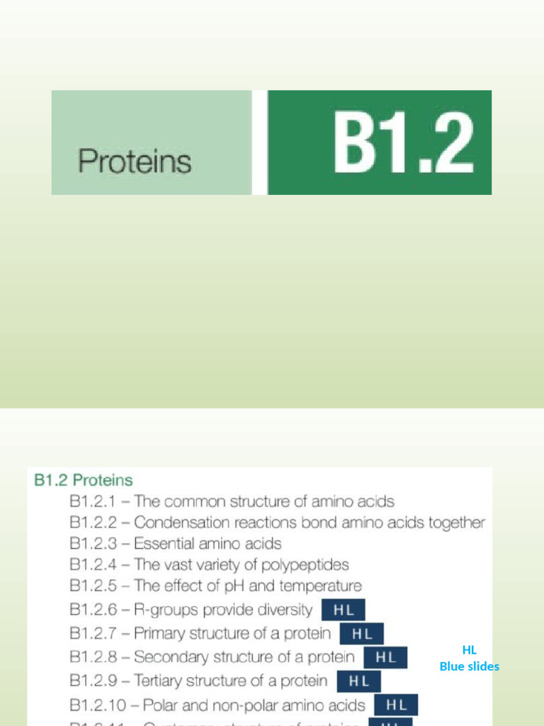 B1.2 - Protein | PDF | Protein Structure | Amino Acid