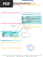 BIOTECHNOLOGY Principles & Processes | PDF | Plasmid | Restriction Enzyme