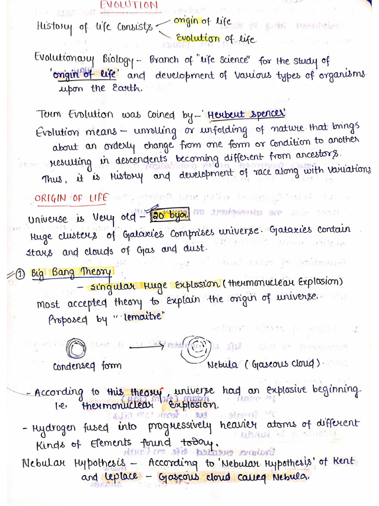 Evolution | PDF