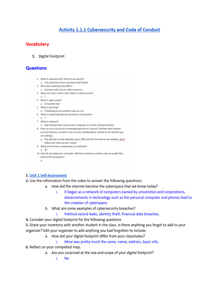 Activity 1.1.1 Cybersecurity and Code of Conduct | PDF