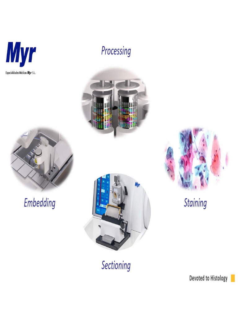 Myr Company Presentation_2024 | PDF | Touchscreen