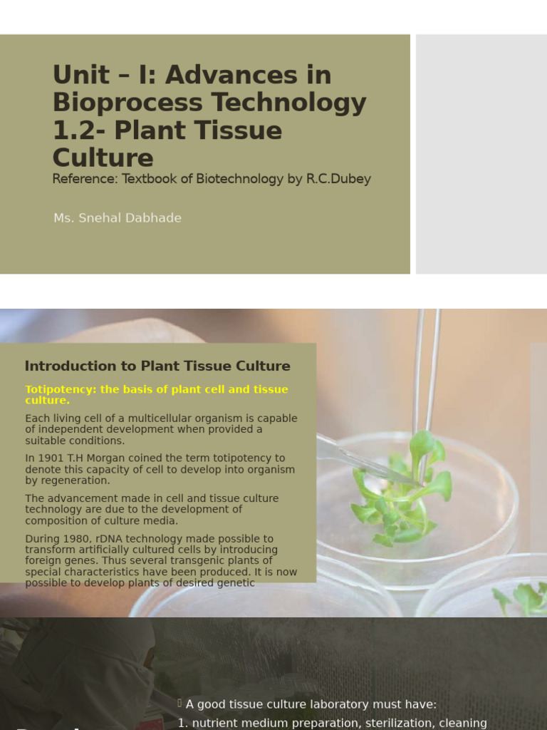 Plant Tissue Culture Techniques Explained | PDF | Root | Auxin