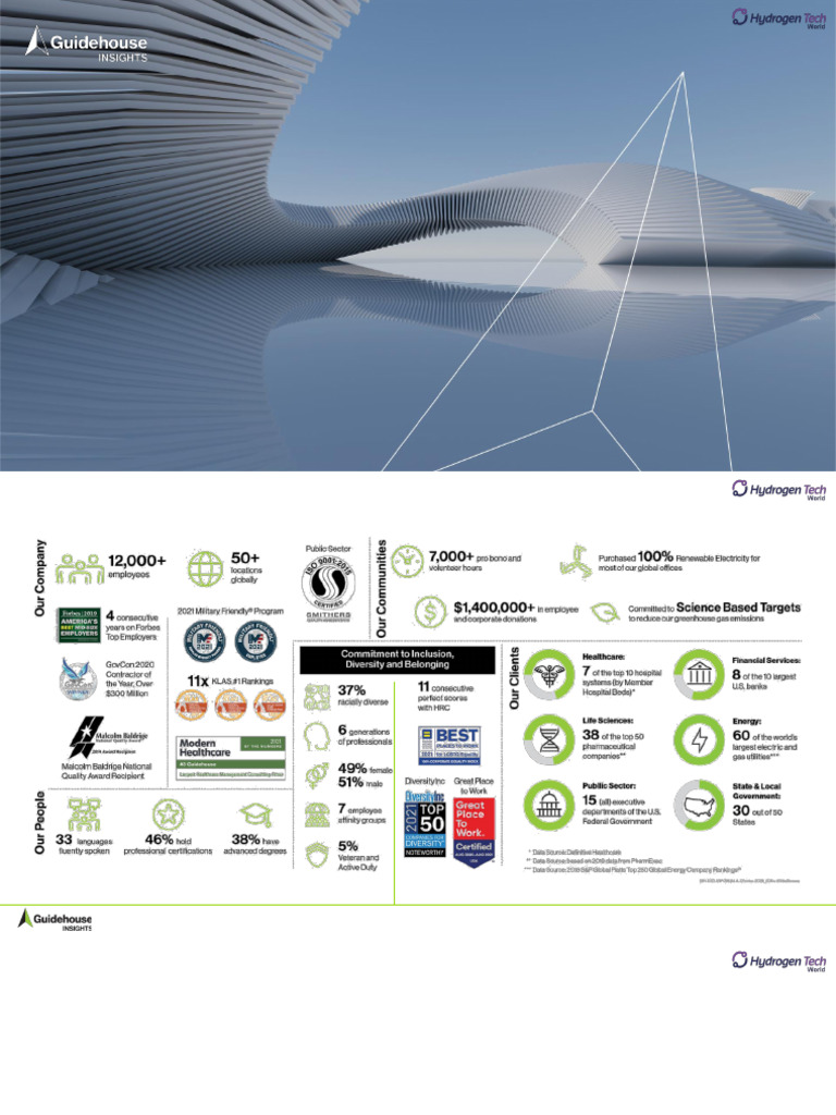 1.6.-Jacques-Moss-Guidehouse-Insights | PDF | Auction | Taxes
