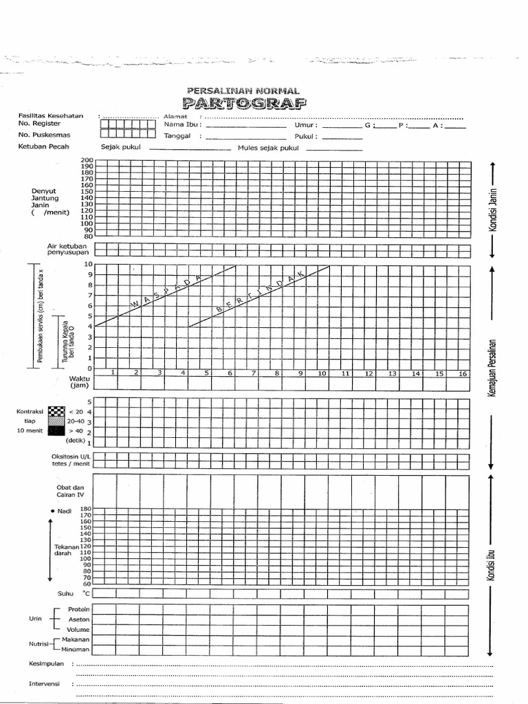 Blangko Partograf | PDF
