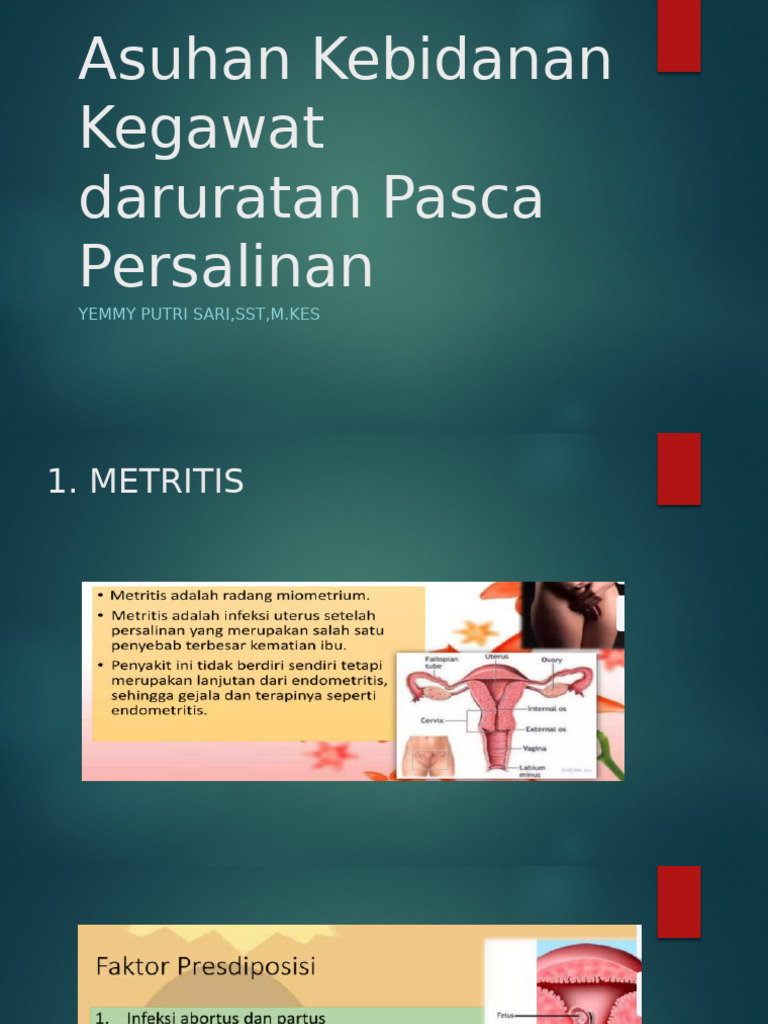 Ppt Pasca Partum | PDF