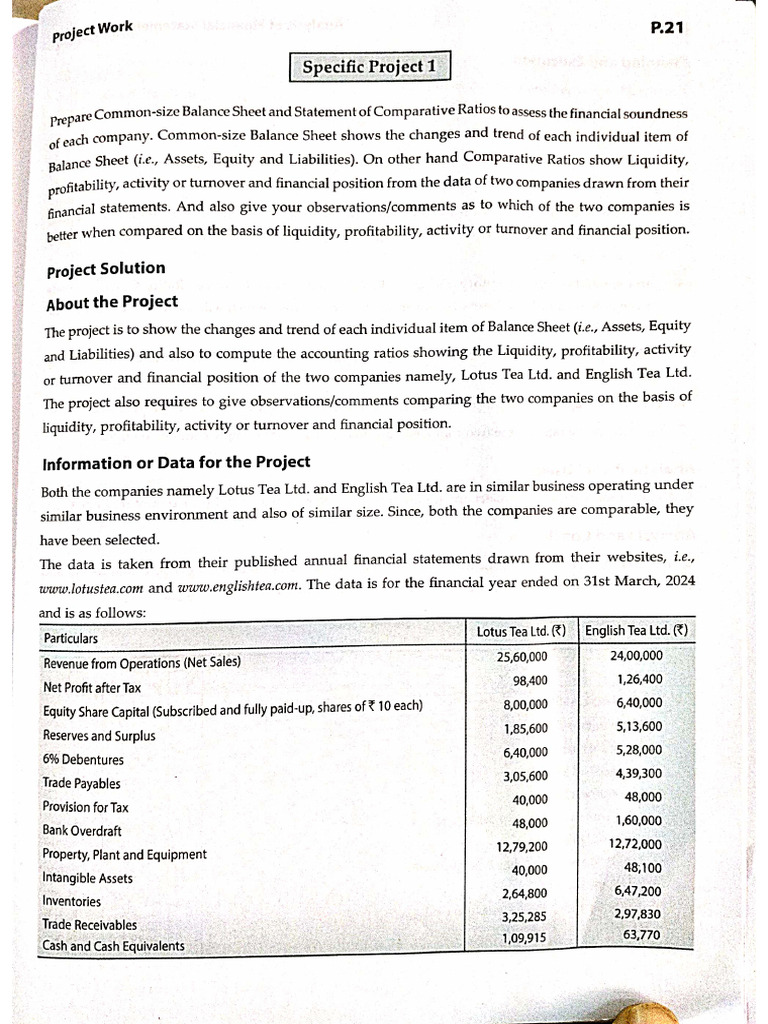 Specific Project | PDF