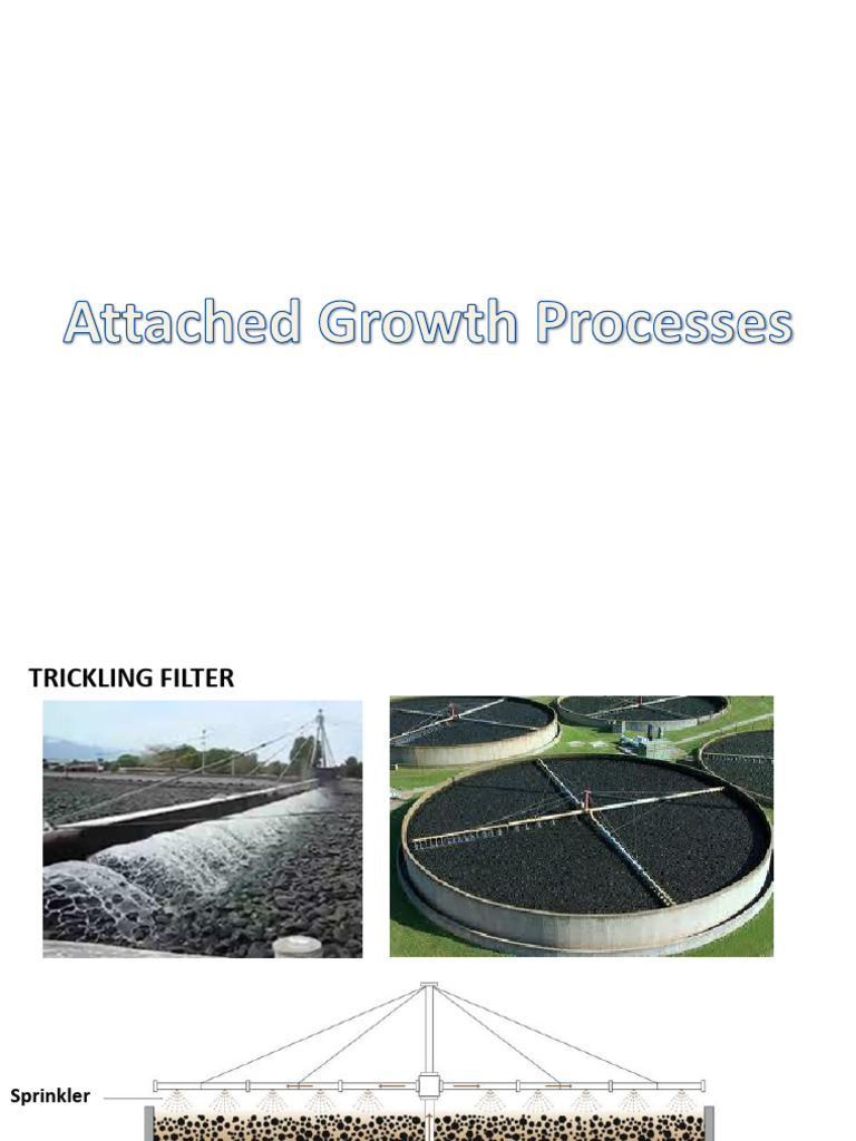 ETE Biological Treatment I - Attached Growth Processes | PDF ...