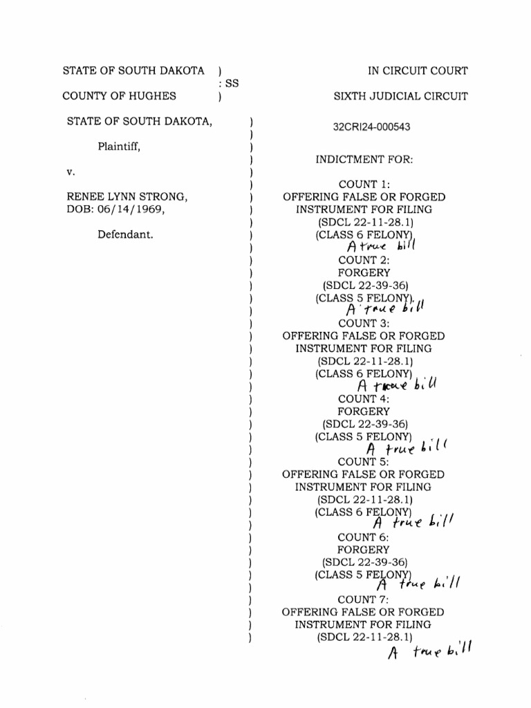 Renee Strong Indictment | PDF