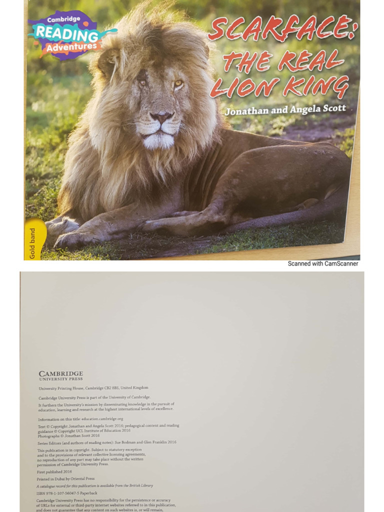 Cambridge Adventure Reader Scarface The Real Lion King | PDF