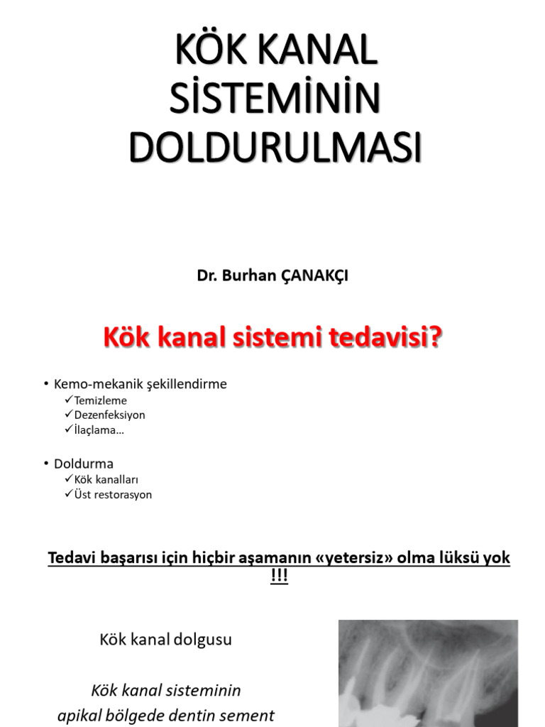 Endosüper-Fi̇nal Sorular | PDF