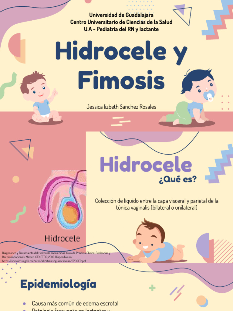 Hidrocele y Fimosis Presentación | PDF | Pene | Urología