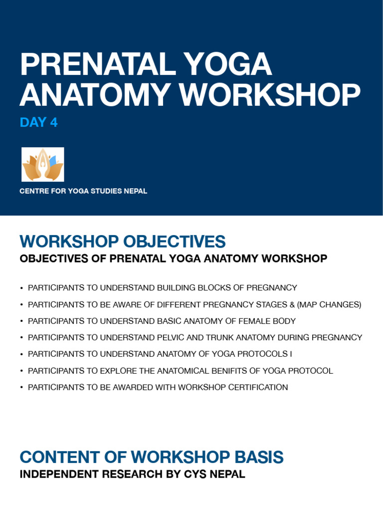 Panatomy Workshop Day 4 Presentation | PDF | Pregnancy | Human Musculoskeletal System