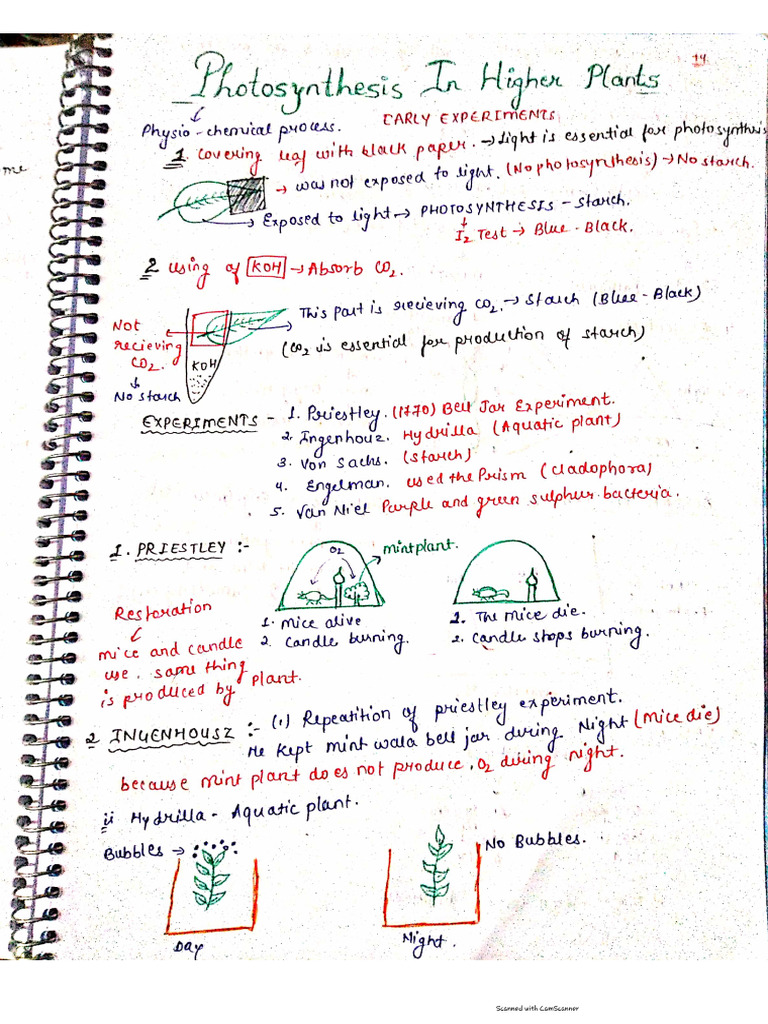 Photosynthesis in Higher Plants | PDF