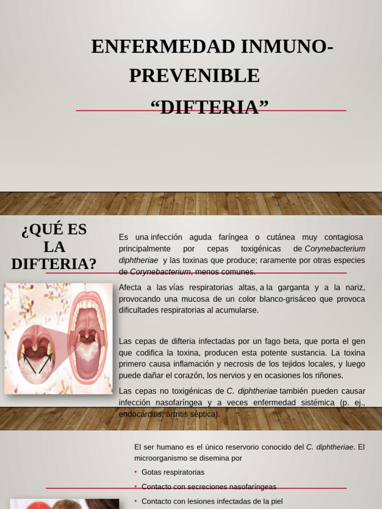 Enfermedad Inmunoprevenible Difteria | PDF | Especialidades Medicas | Microbiología