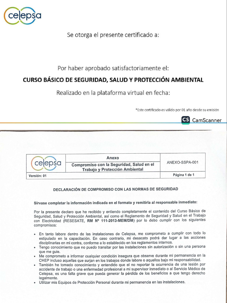 Certificado y Risst - Sibony Quinto - Compressed | PDF